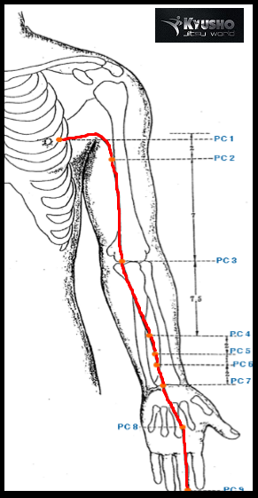 Martial arts - Pressure points: June 2017