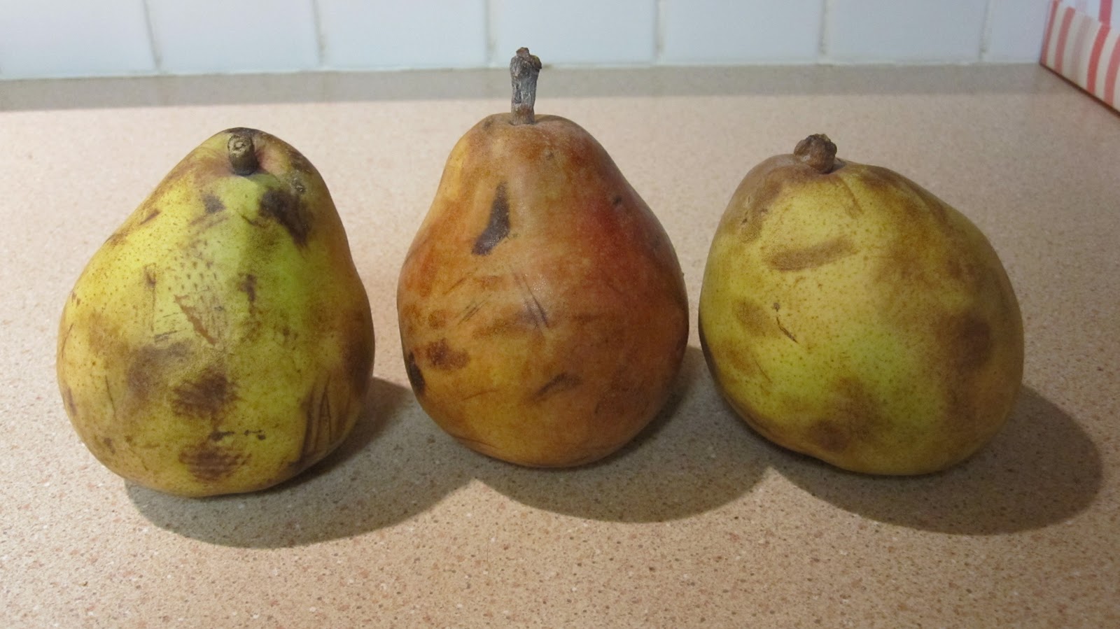 Cannundrums: Pears: Asian, Korean, Ya, Fragrant, Bartlett, Red Bartlett ...