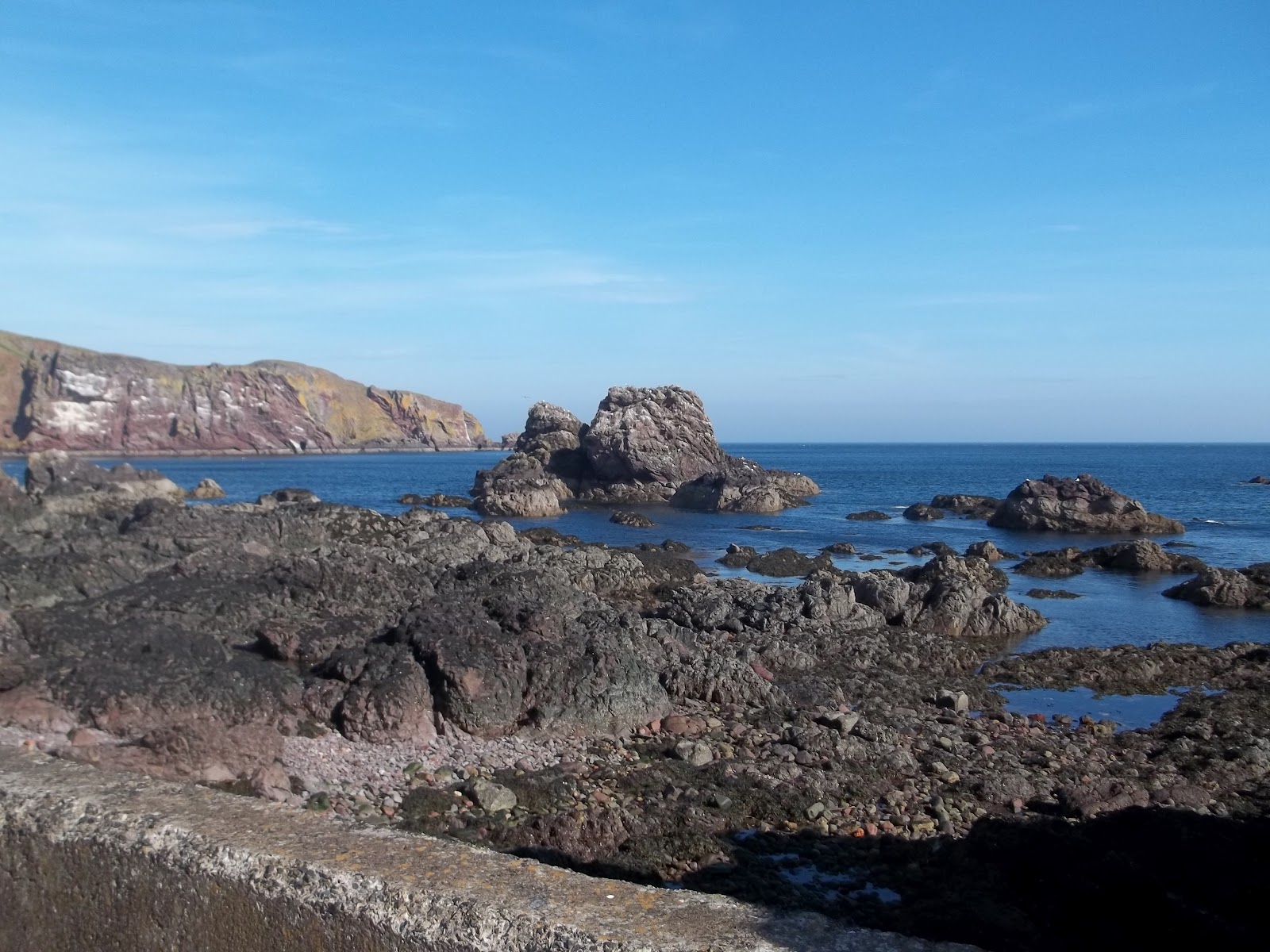 Good Northern: Eyemouth (Scotland)