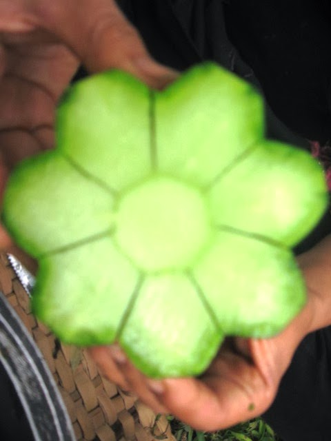 San Pedro - Wachuma - Enteógenos