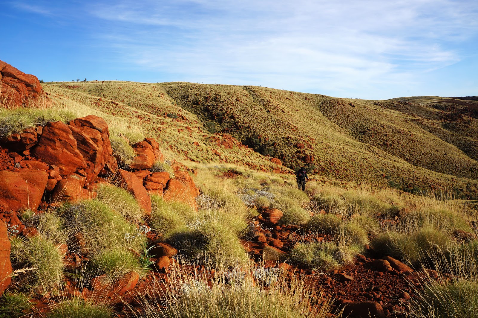 Camel Trail (Millstream Chichester National Park) ~ The Long Way's Better