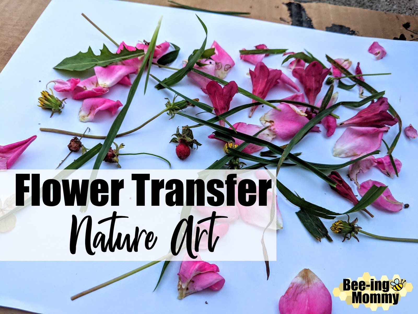 Flower Transfer Nature Art Activity, Hammer Away!