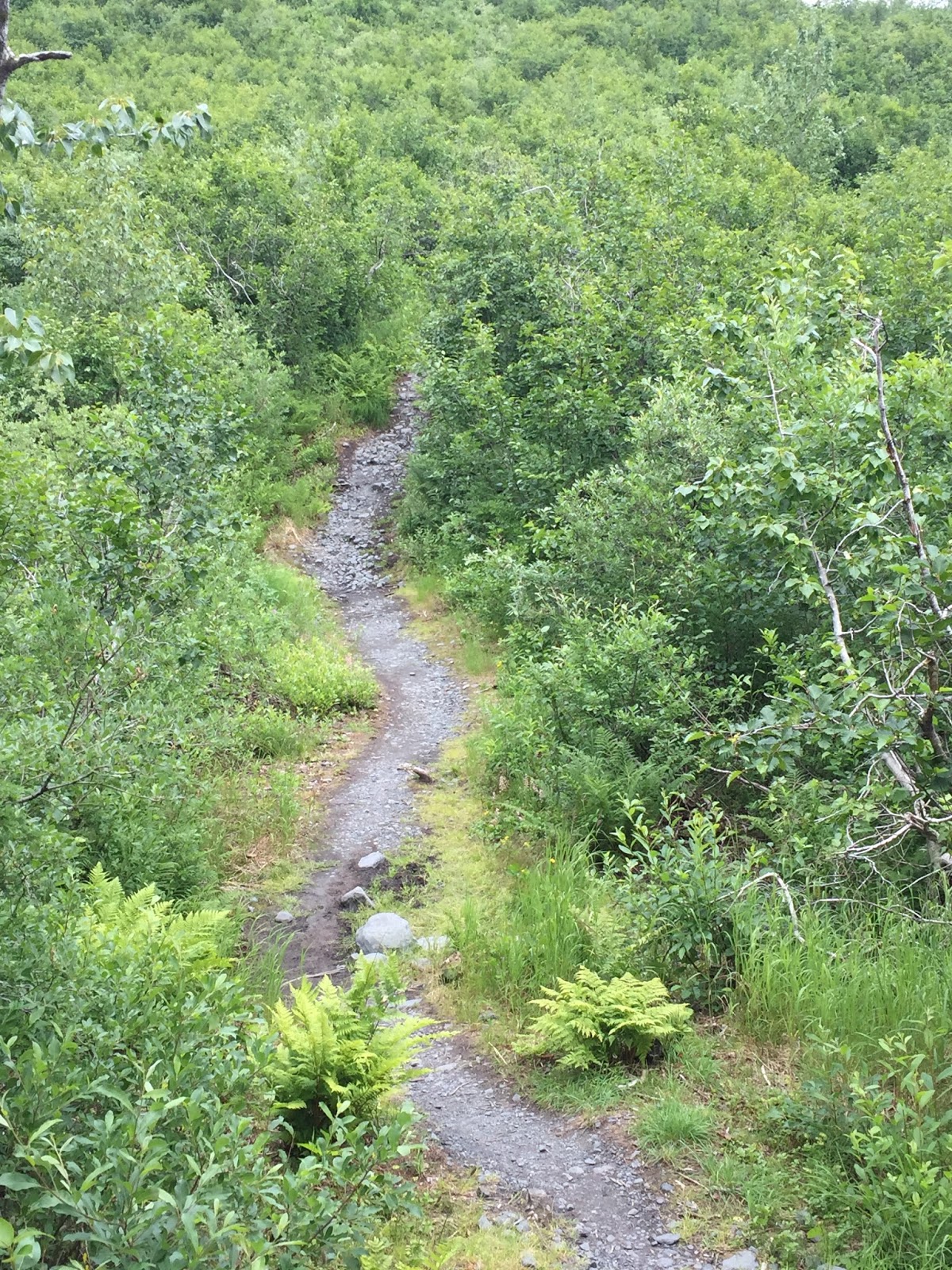 AKStafford: Portage Pass Trail to Portage Glacier & Portage Lake
