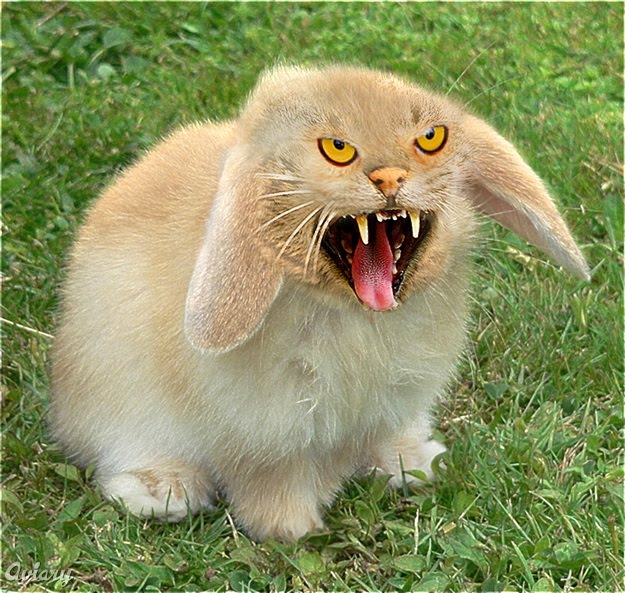 Anywho...: Happy June 1st