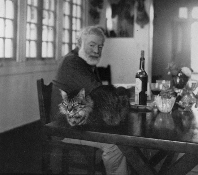 26 Interesting Vintage Photos of Ernest Hemingway With His Beloved Cats ...