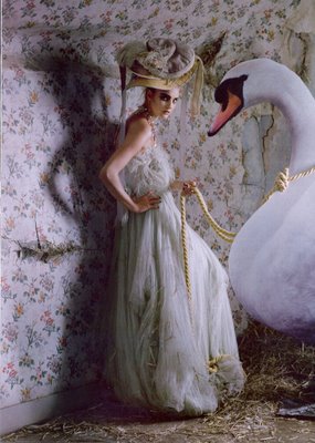 Wings Style: LA FOTOGRAFÍA MÁS ANIMAL
