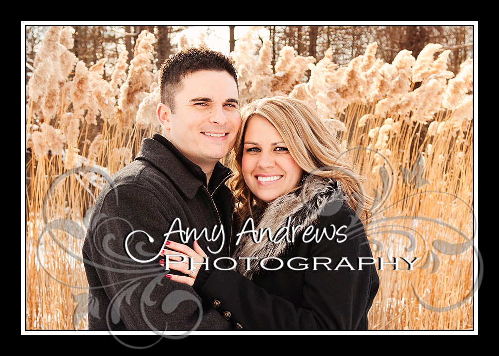 Amy Andrews Photography