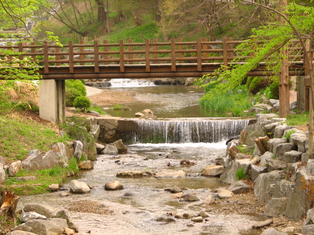 The Amazing Adventures of Carly And Korea: Sunday promenade