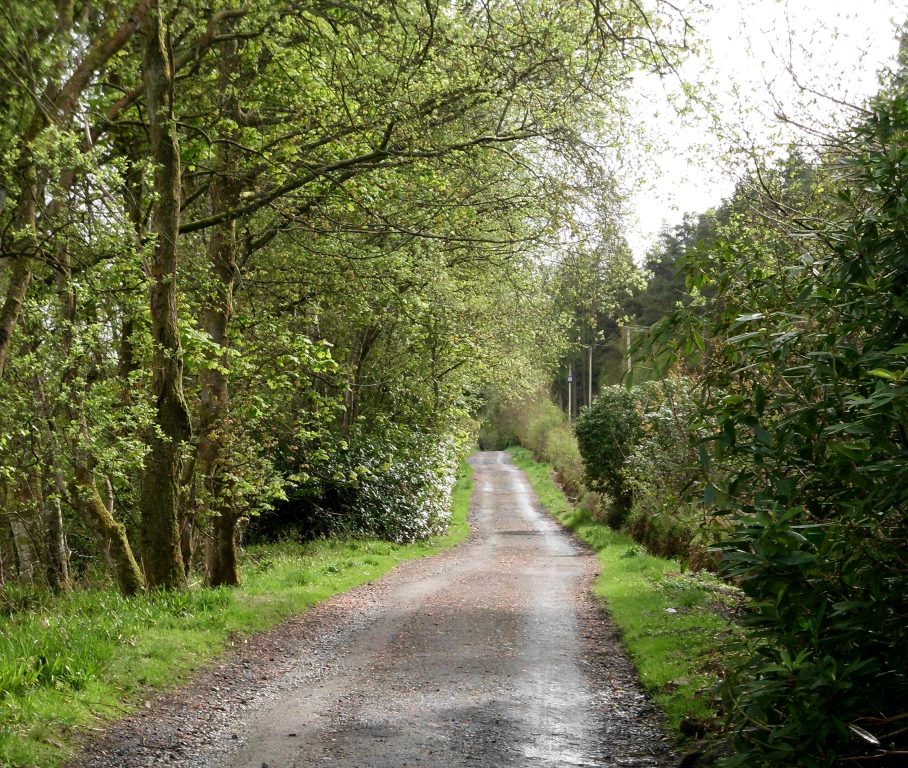 My Daily Walk: Torwood Castle, Larbert