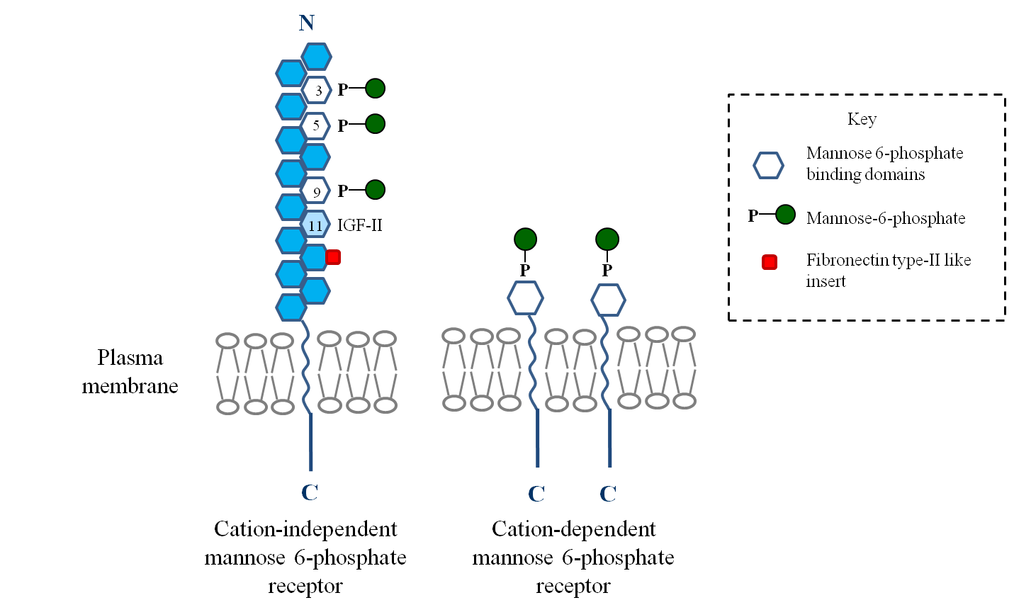 CPD Accredited - European Clinical Microbiology and Immunology Congress ...