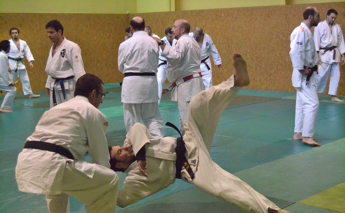 Gimnasio Samurai: CURSO PERFECCIONAMIENTO DE JIU-JITSU