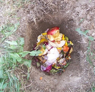 Real Food & Scandalous Gardening Secrets: The Compost Hole Method, Part 1