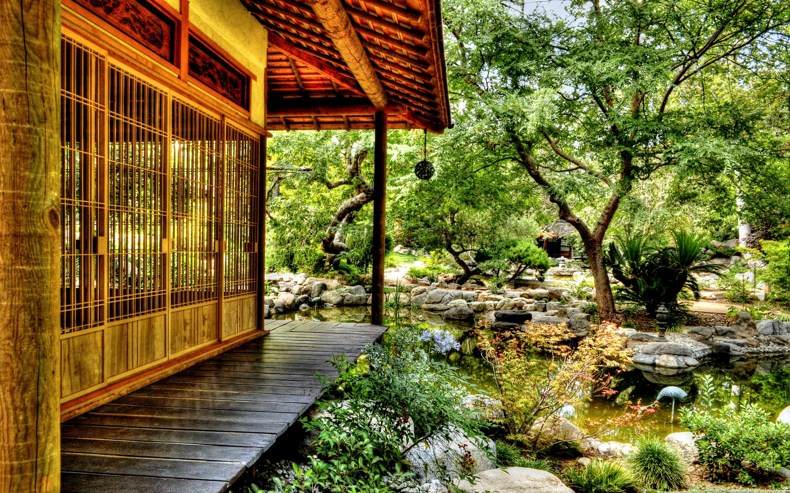 L.A. County Arboretum & Botanic Garden Plant Info: Tour of the Storrier ...