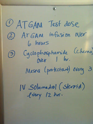 Where in the world are Darwin and Melissa: Day 3 - Medication Details