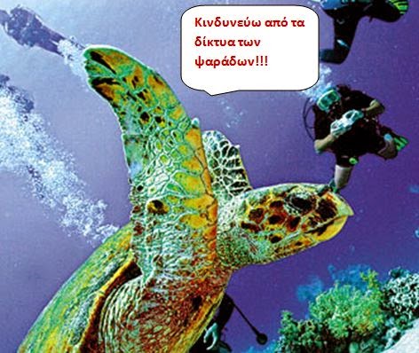 ΟΙ ΦΙΛΟΙ ΜΑΣ ΤΑ ΖΩΑ