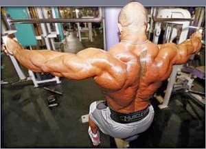 Who got the Best Back Muscles? | Bodybuilding and Fitness Zone