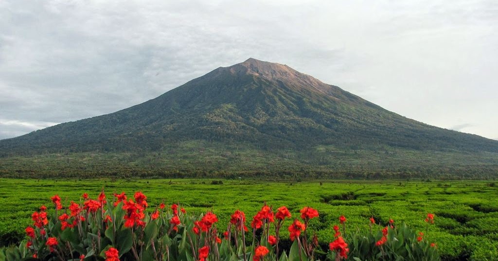 Tebar Yang baik untuk Cari Jalan Terang: Manfaat Gunung bagi Alam dan ...
