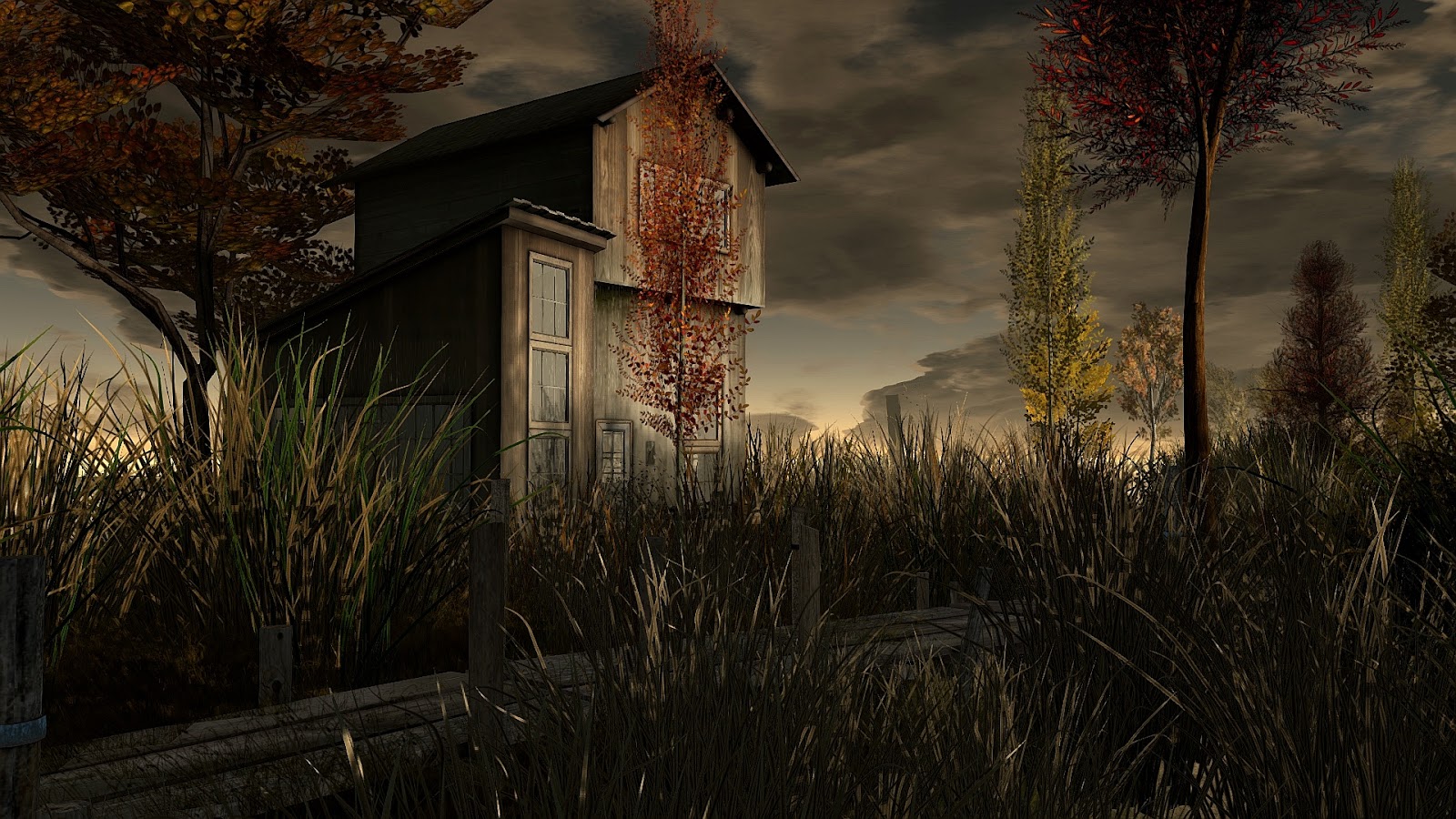 Echt Virtuell: Ein paar Fotos von Fall Trace (Herbst 2017)