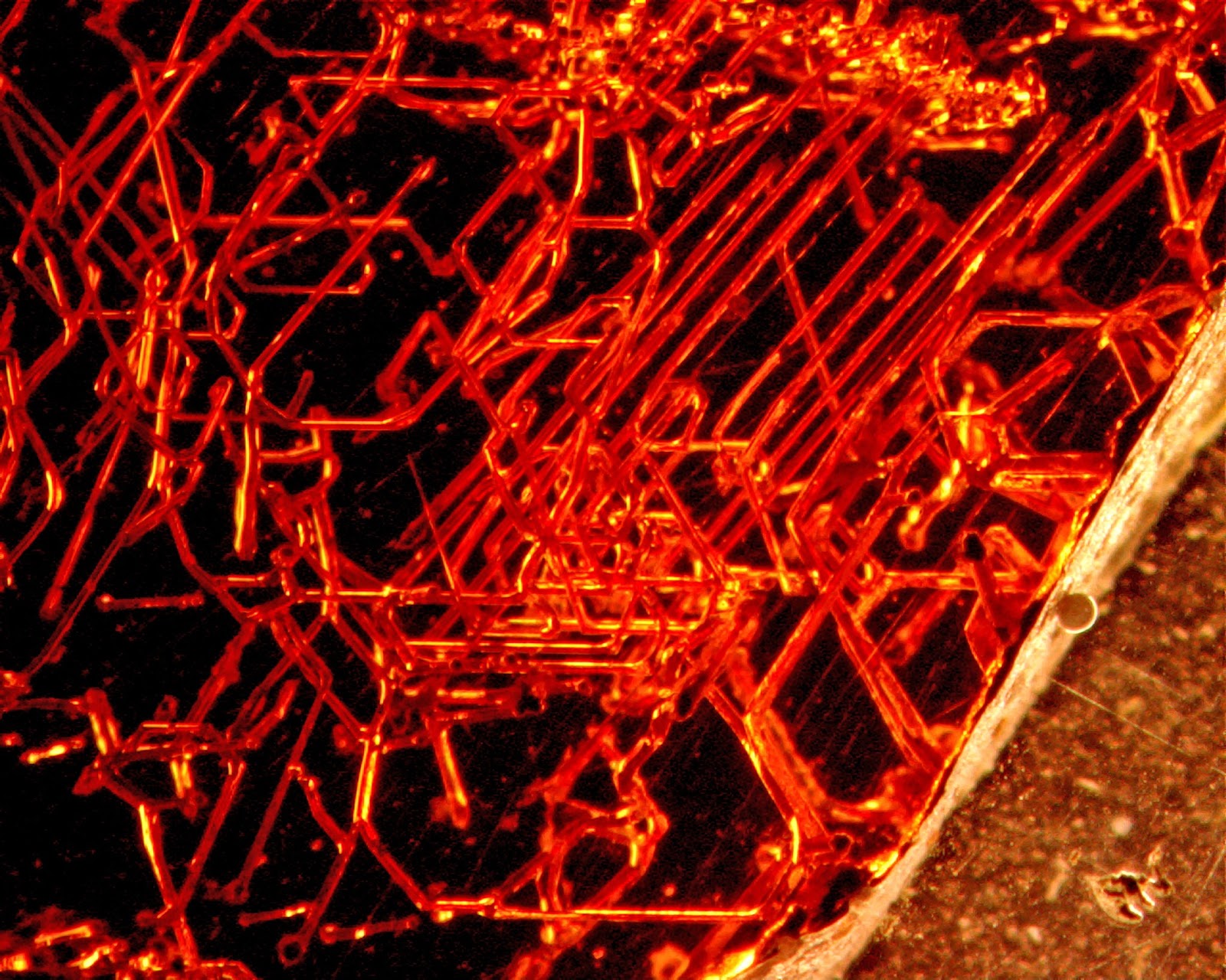 TYWKIWDBI ("Tai-Wiki-Widbee"): Endolith extremophiles in garnets
