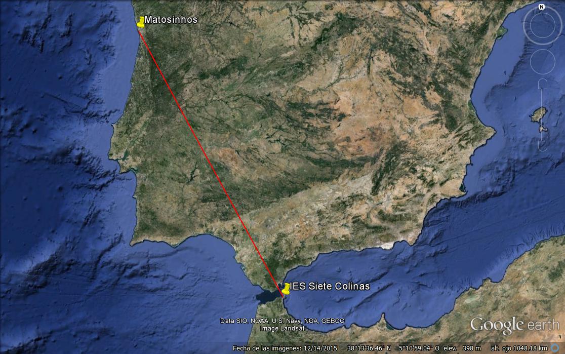 Gaviotas y Pardelas: NUEVA OBSERVACIÓN EN MATOSINHOS