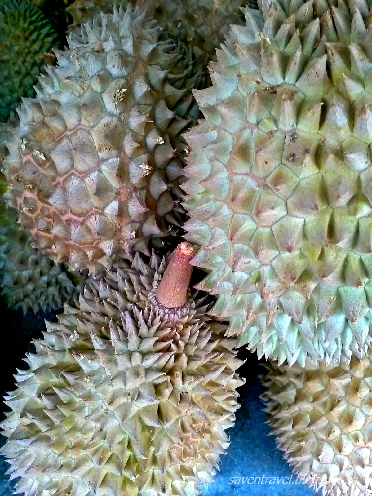 Save & Travel: Trang - Food Adventure