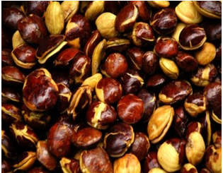 Serba Tradisional : Manfaat Jengkol dan Efek Sampingnya