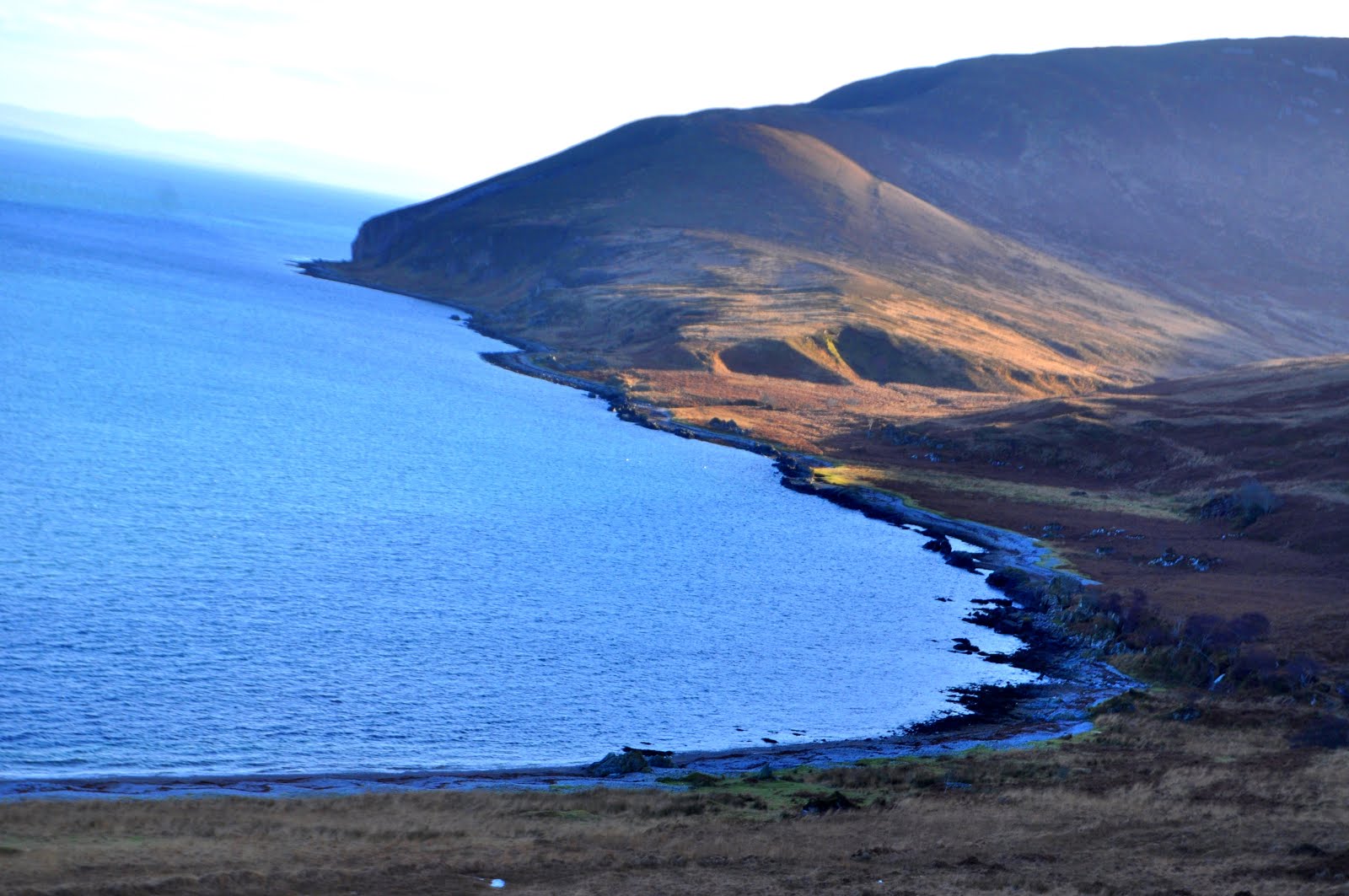 Jurnalul Venatorilor: Fauna din Islay