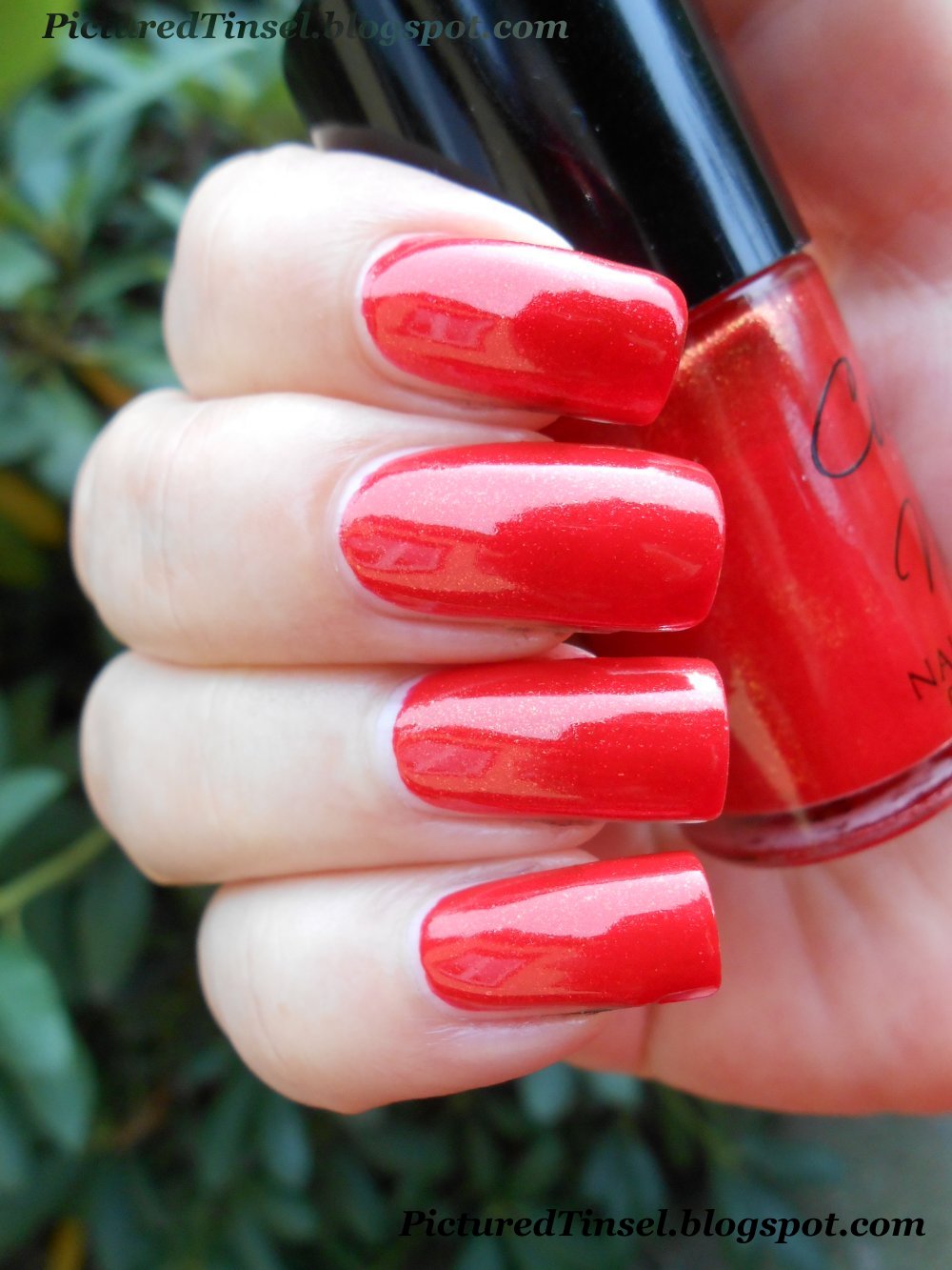 PicturedTinsel: Cult Nails Annalicious - Cult Nails Coco's Untamed ...