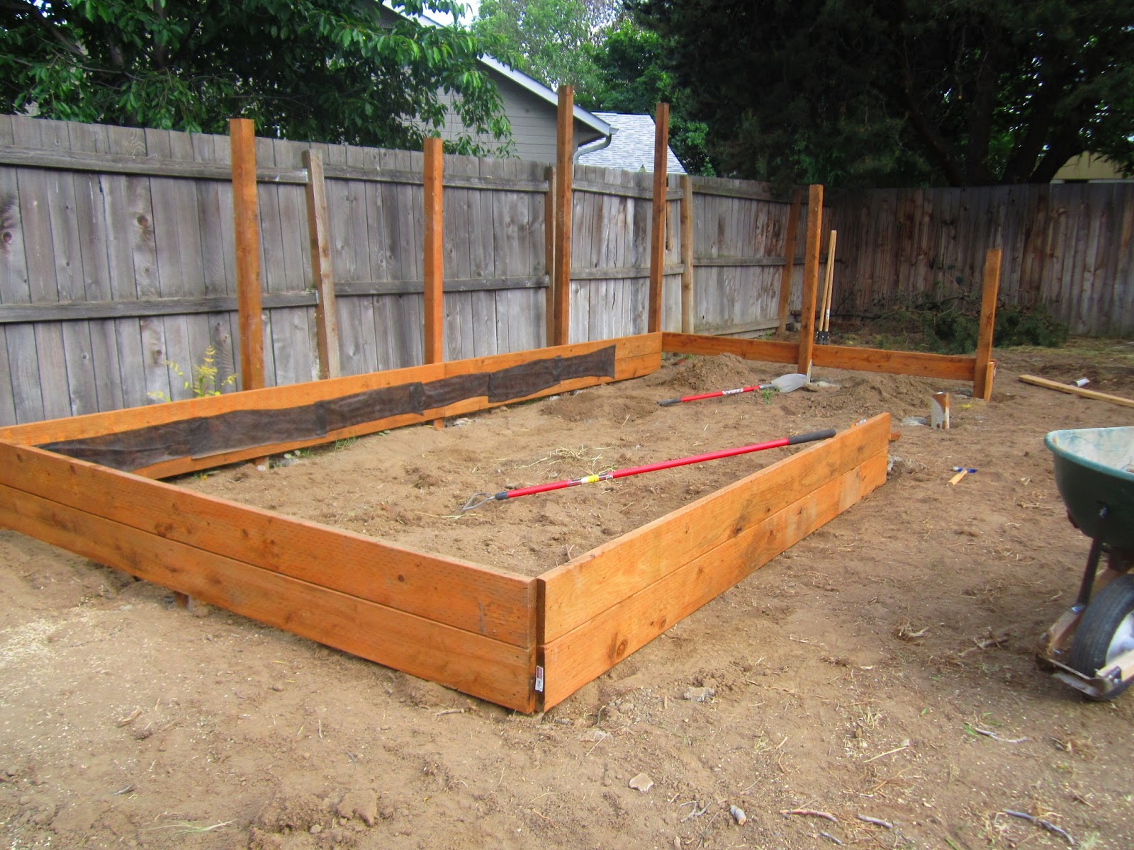The Backyard Boom | TP&Co.