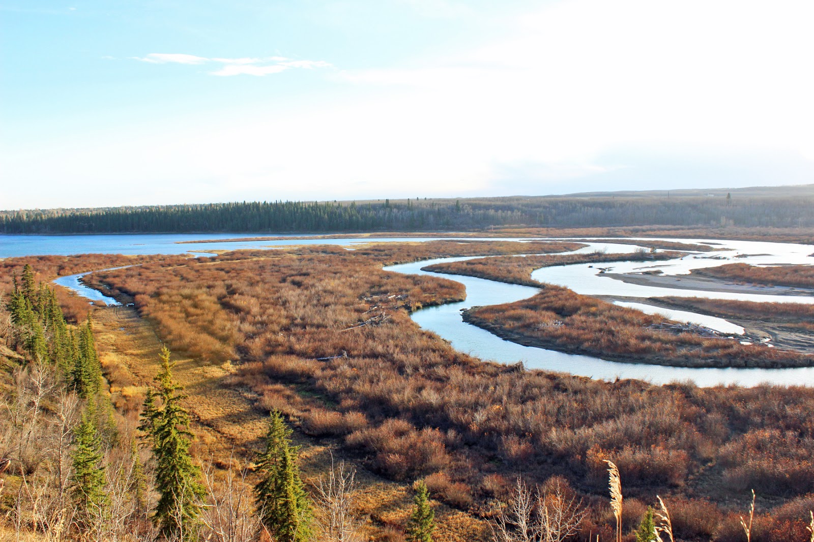 AM Dolce Vita: Calgary in the Fall