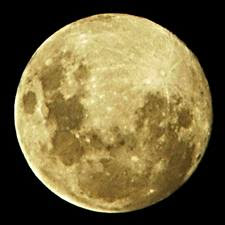 Aquarian Solutions Jog: Revolution Under a Hunger Moon - Part One