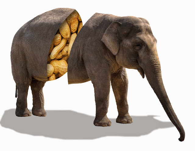 Mary Kate's Art: 12 Days of Photoshop: Day 1 - Sliced Elephant