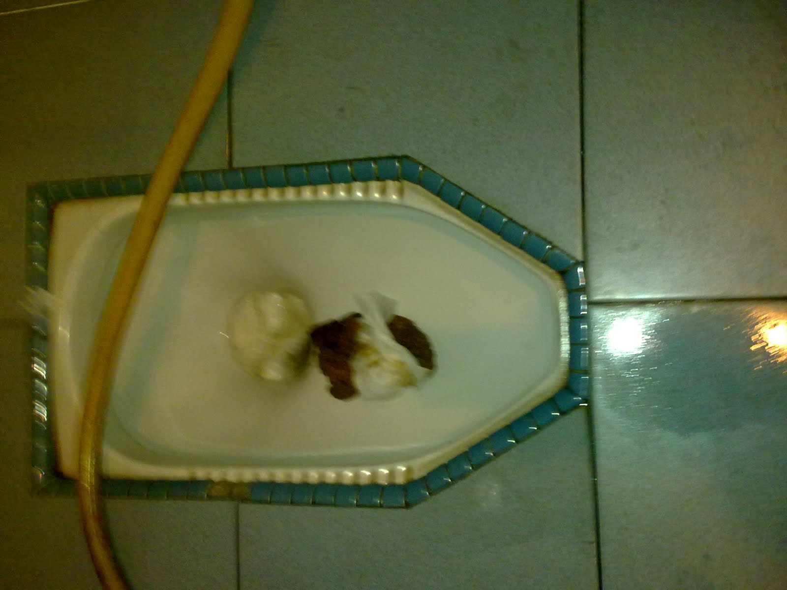 Anak Semut Belog's: Berak PNDai... fLUSh...?? nK kena AJAr lg...???