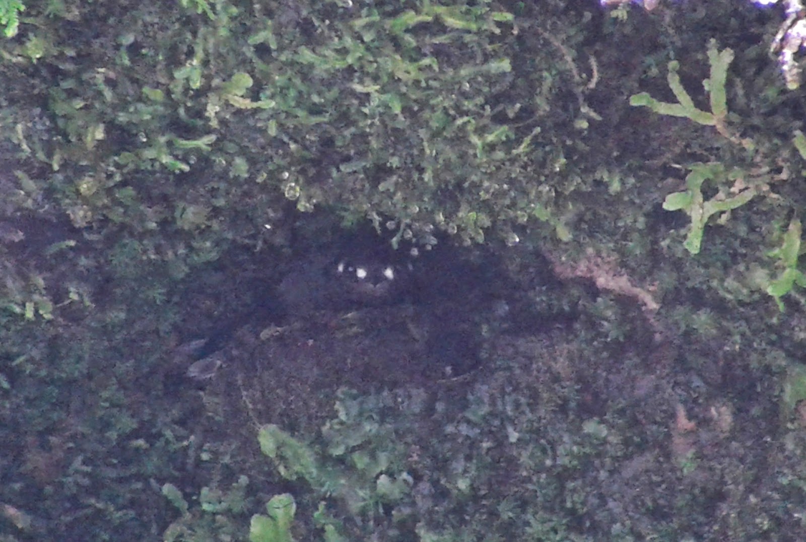 Jan Axel's Blog: June 2014