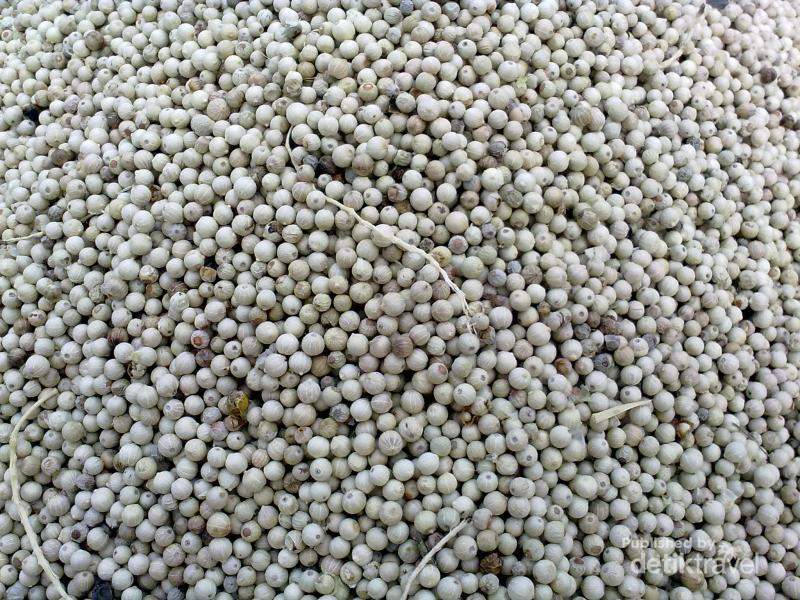 Khasiat dan Manfaat Lada atau Sahang Untuk Kesehatan