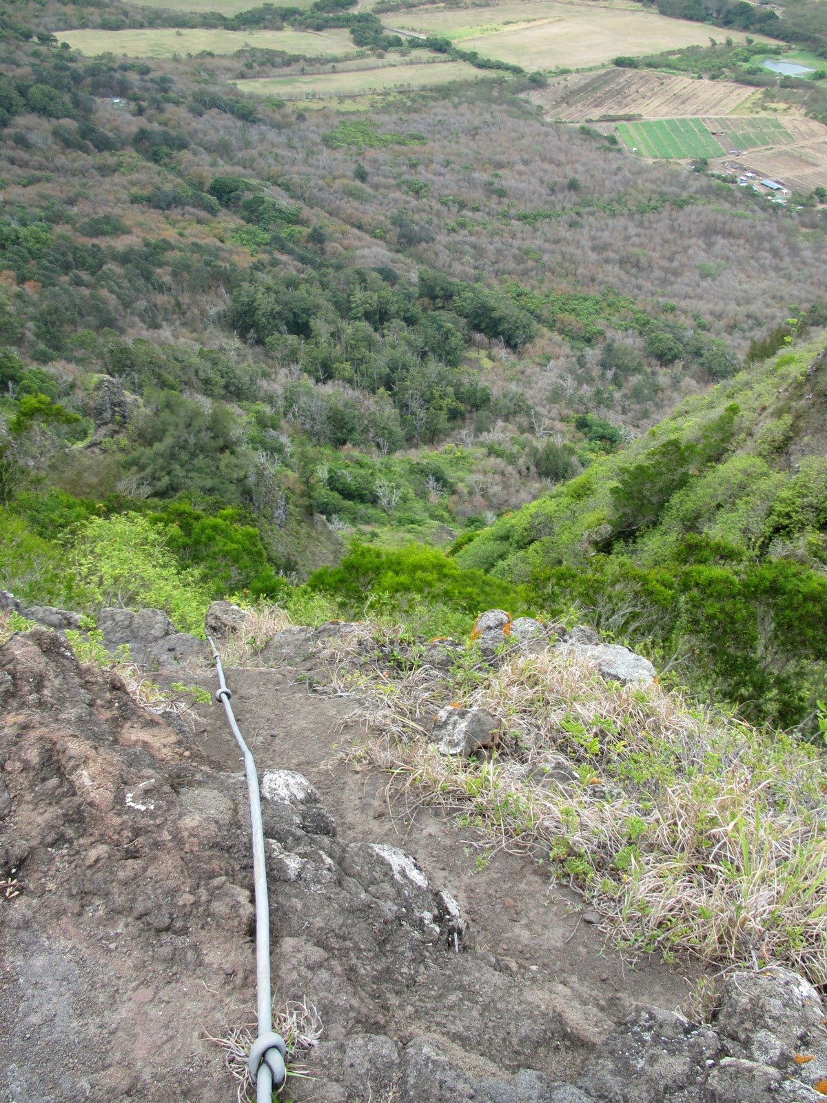 Jes' CrossFit Blog: Mariner's Ridge Hike