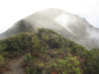 The Mountaineering Review: Pinos Peak via Bell Ridge