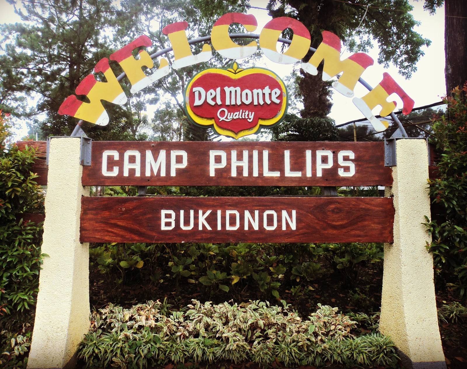 Finding BonggaMom: Del Monte Plantation, Philippines: home of the ...