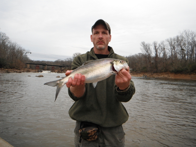 North Carolina River Fishing and Canoeing with Mack: Shad Fishing on ...
