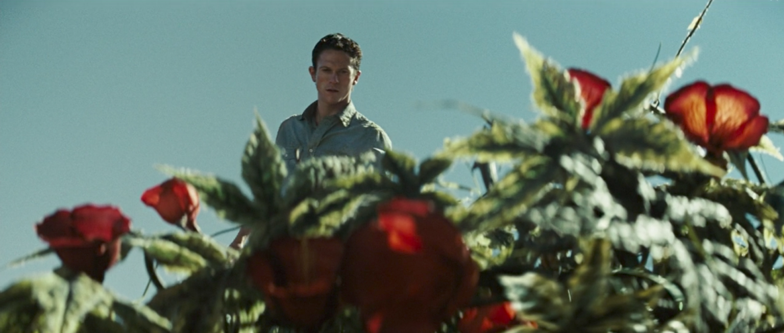 Halls of the Nephilim: October Horror Movie Challenge - The Ruins (2008)