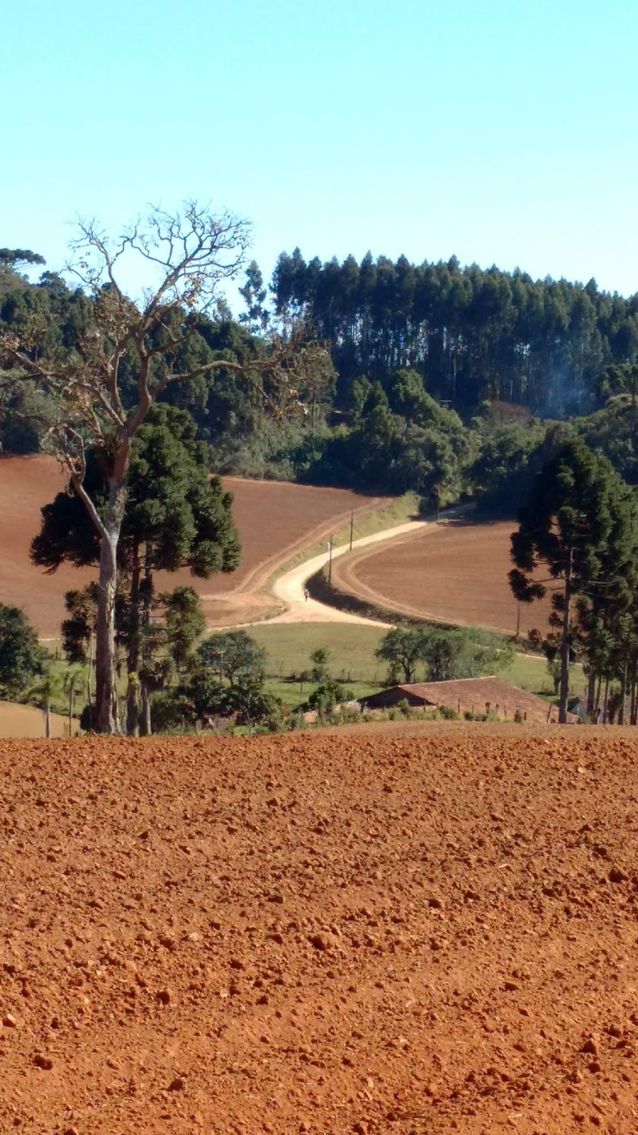 NaturezArLivre: Caminhada Contenda PR 11/08/2018