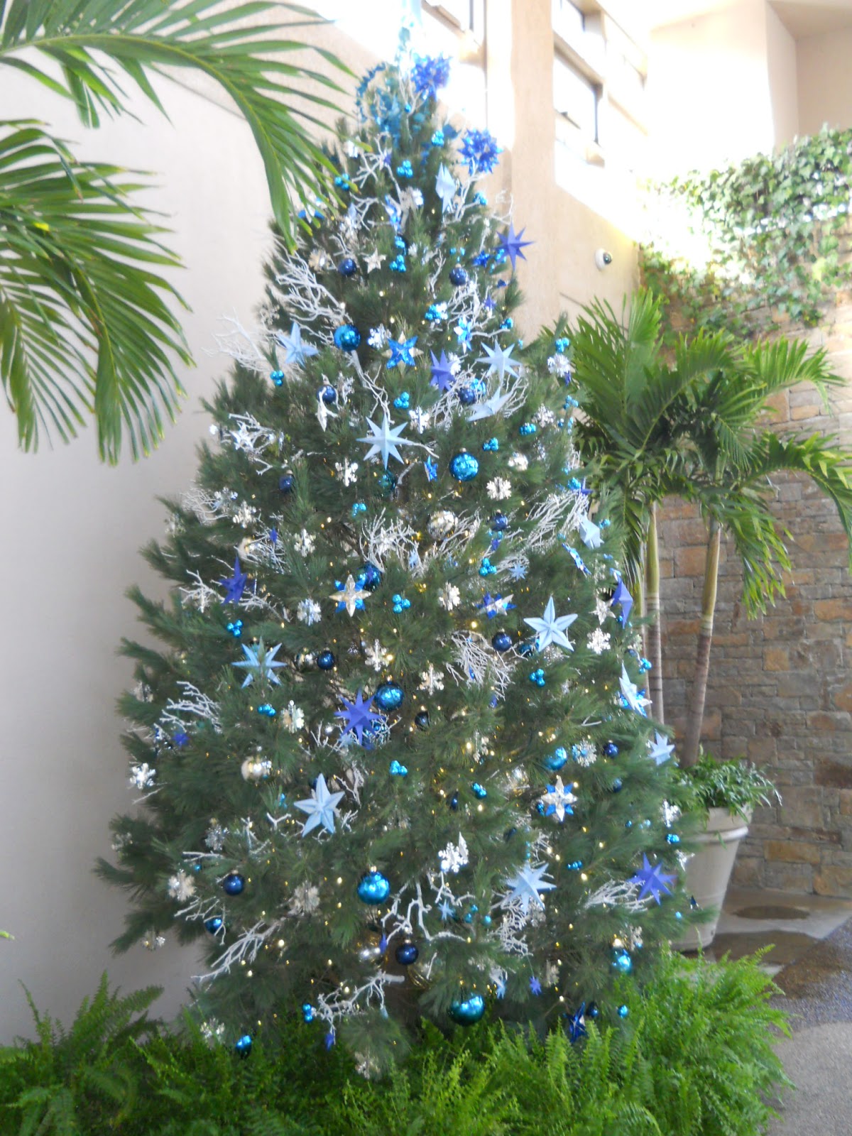 Lemon Verbena Lady's Herb Garden: Christmas at Longwood! Daytime Effects!