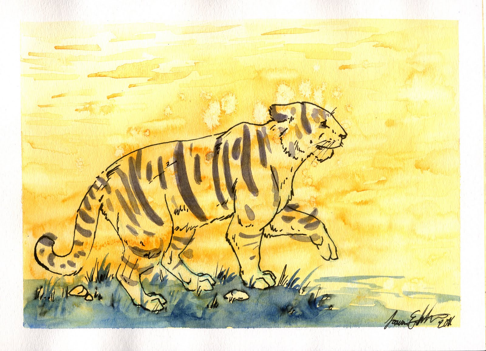 NBCC Miramichi Animation