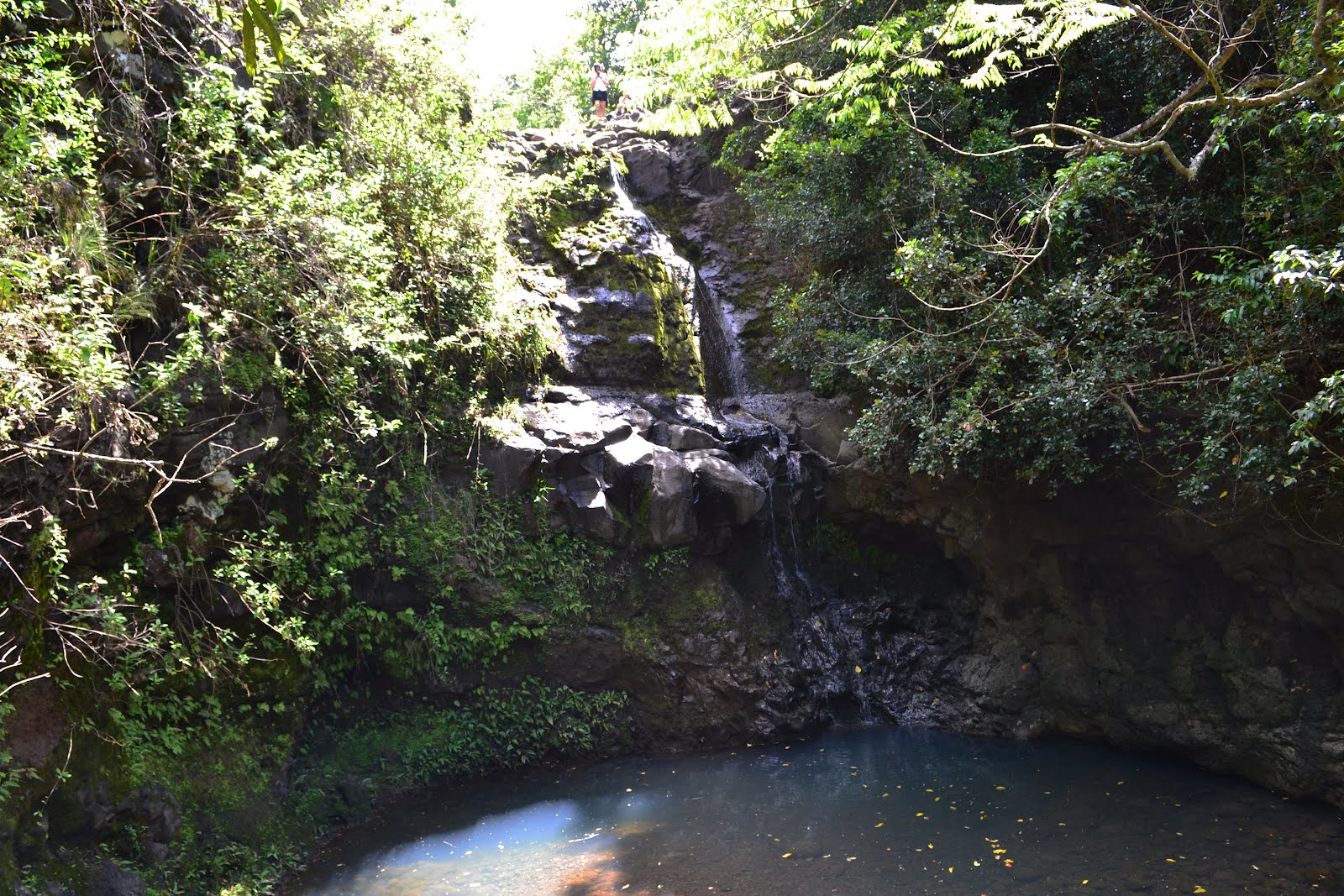 rtakashi: Waimano Falls & Pools via Manana Trail