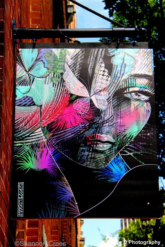 Street Art: 5 Questions with Shannon Crees