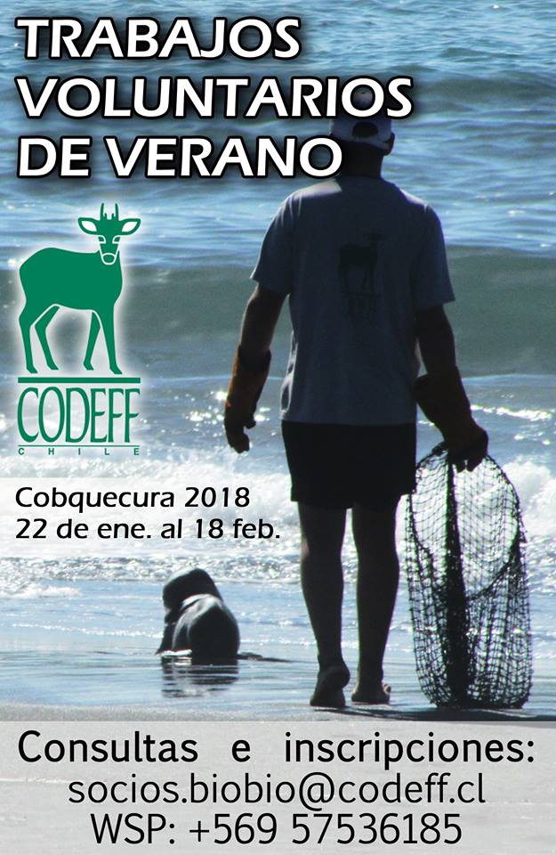 Cobquecura: Municipio brinda apoyo a Codeff para proteger lobos marinos