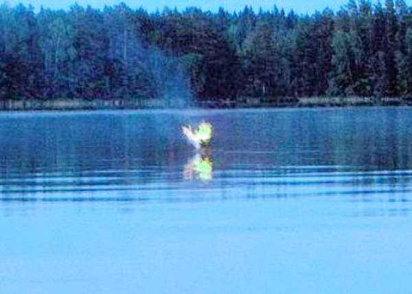 lo sabias...?:cosas inusuales y fantasticas: FUEGOS FATUOS