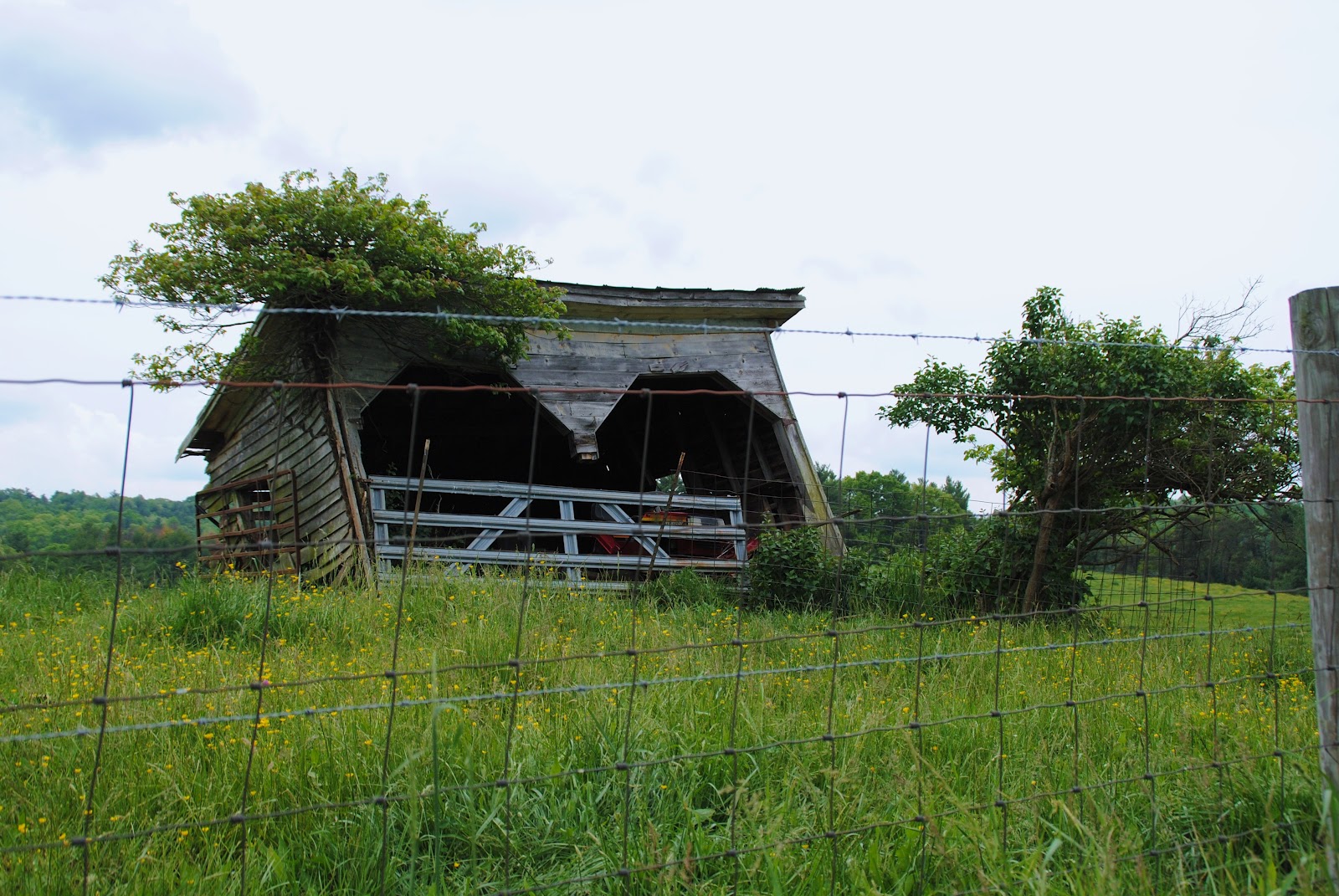 Life According to Jan and Jer: Gallery