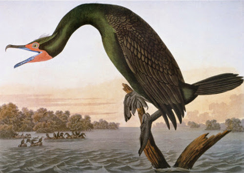 Quel che debbo ai Quindici /3: Dipingeva solo uccelli