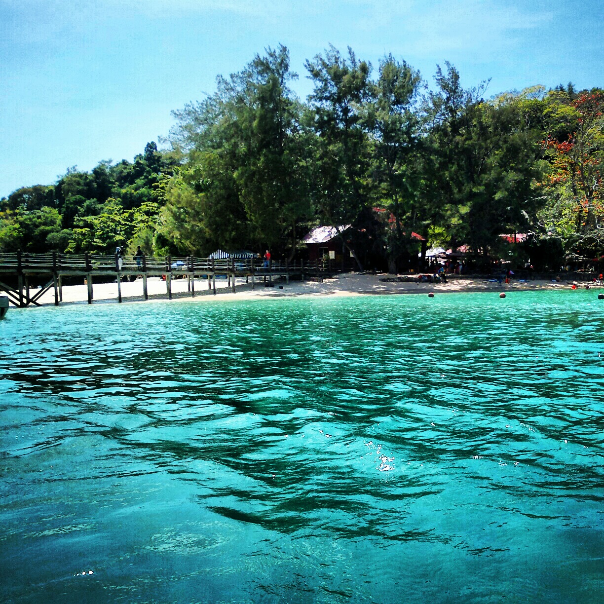 eONE tribe: Sapi Island aka pulau Sapi